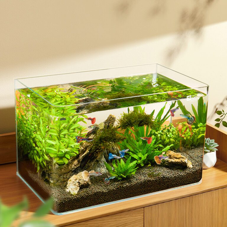 Curved Fish Tank - Aquarium Wholesale