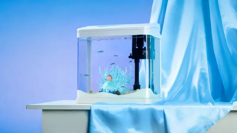 Small Fish Tank With Filter - Aquarium Wholesale