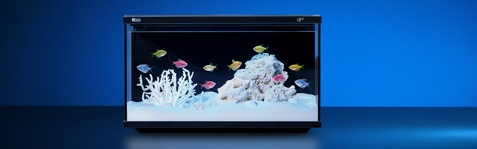 Touch Tank Aquariums Reimagined: Smart Technology for Modern Spaces ...