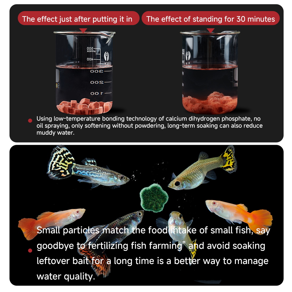 YEE Wholesale Fish Food Capsule - Aquarium Wholesale